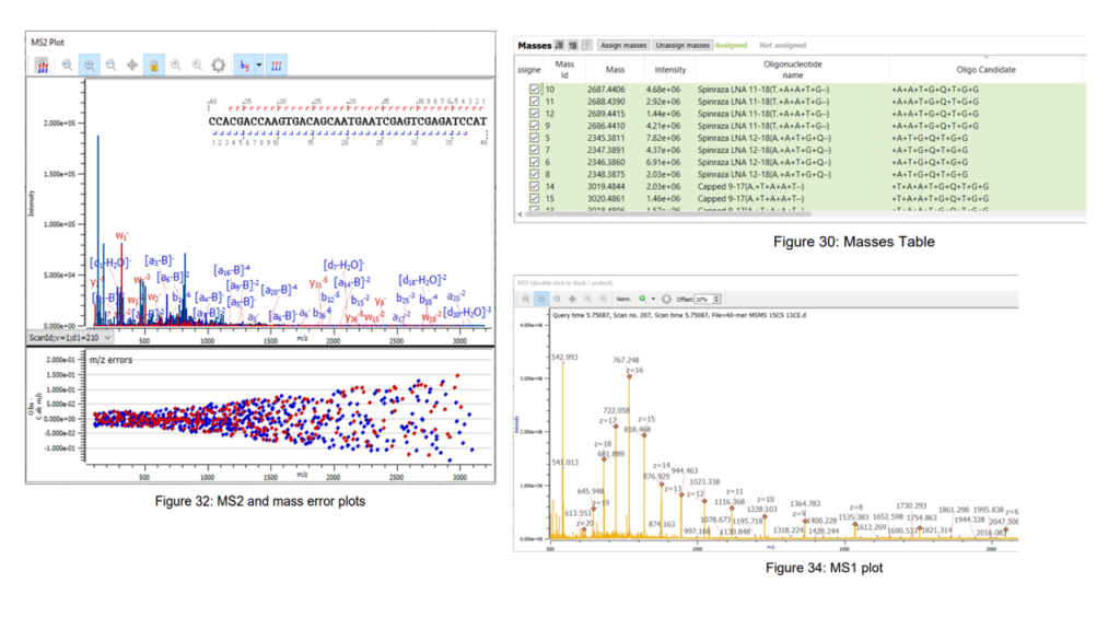 OLIGONUCLEOTIDE - Acrnstech